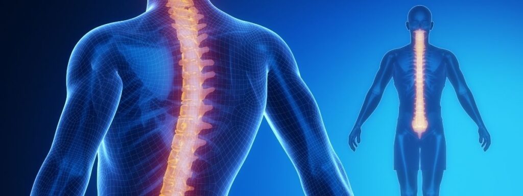 Spine Alignment – biophysiotherapy.hostingersite.com